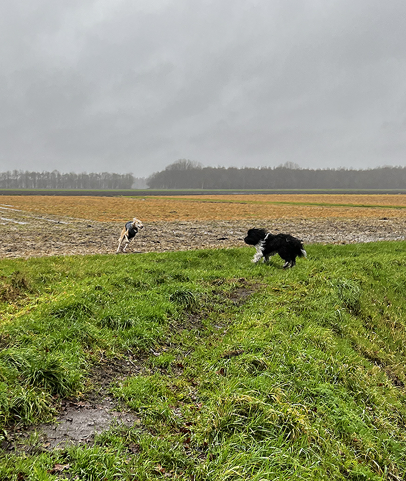 foto 2 — Postimages