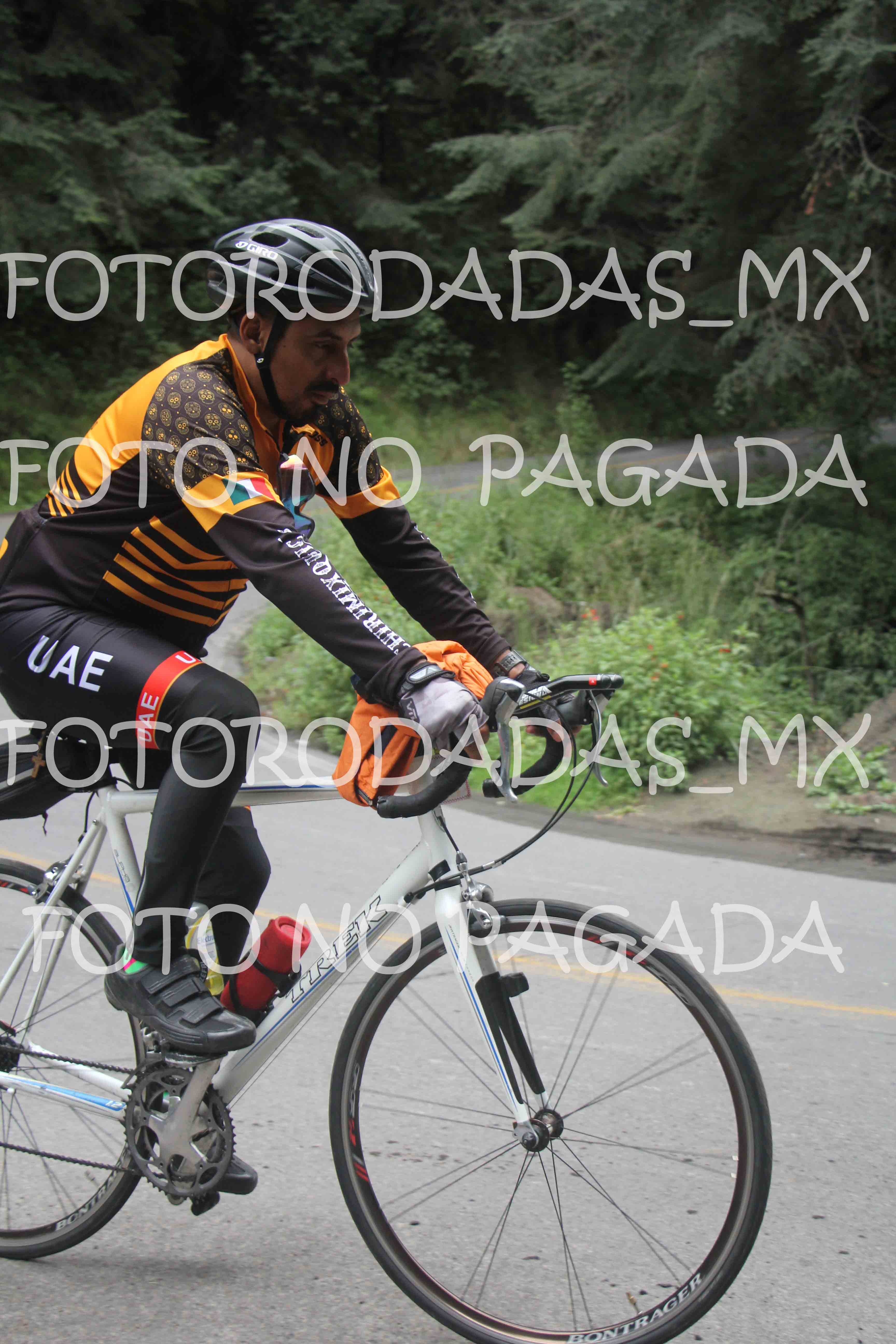 IMG 6615 — Postimages