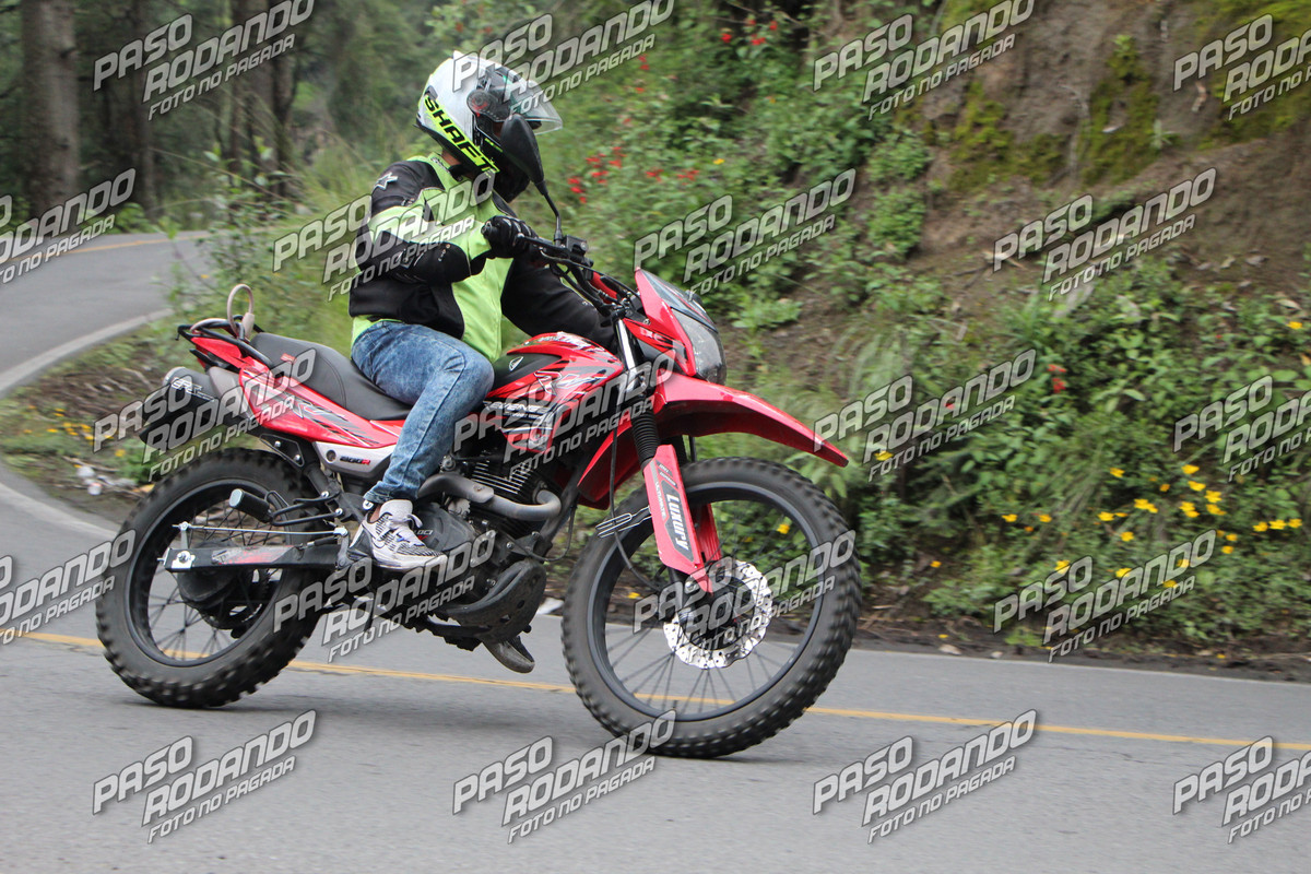 IMG 1941 wm 3285511 8 watermarked — Postimages