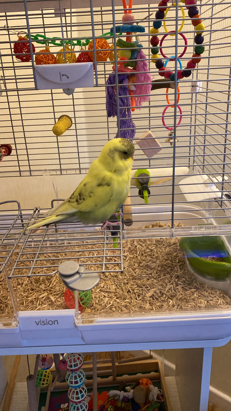 E117 D445 843 D 4 FD7 879 C 20 F658 C1442 B — Postimages