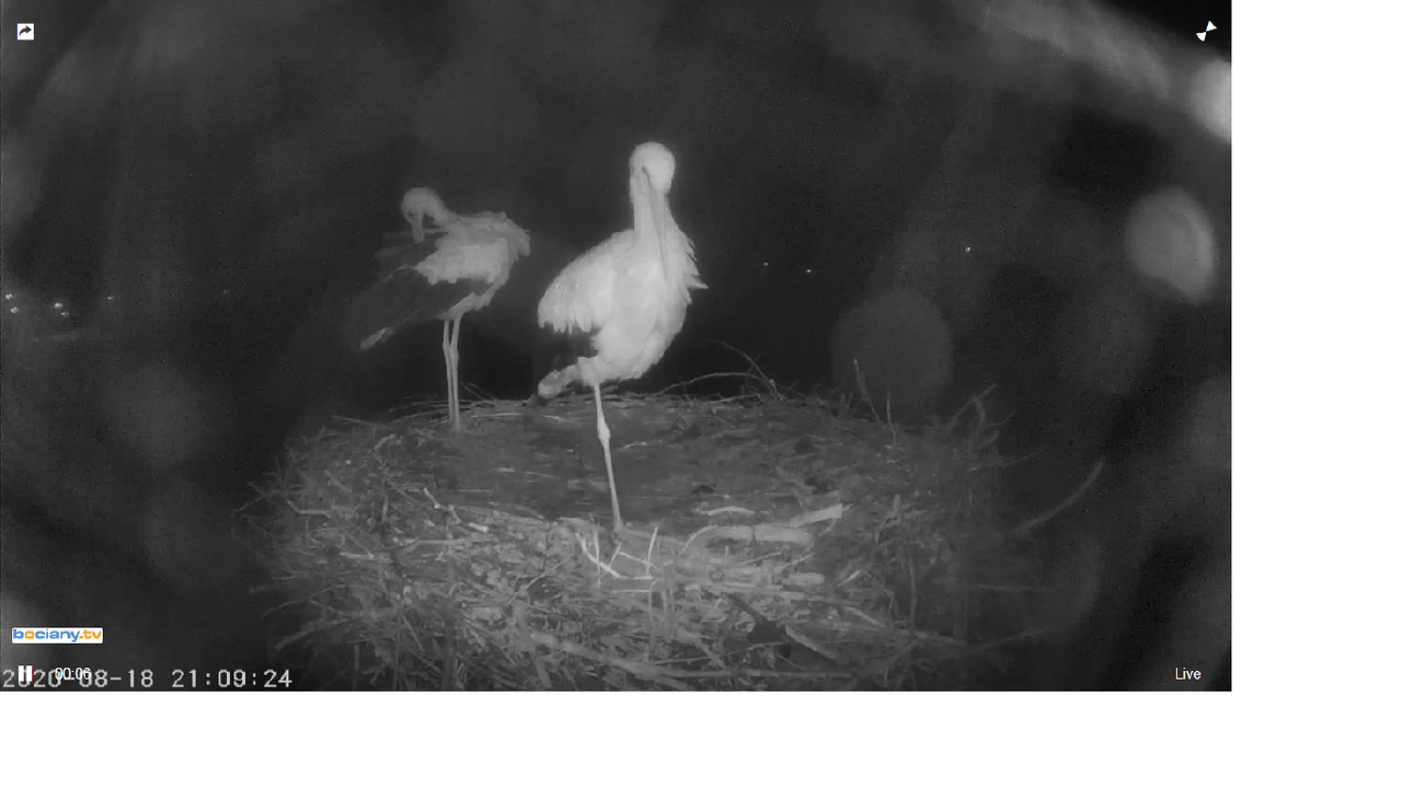 nocka razem — Postimages