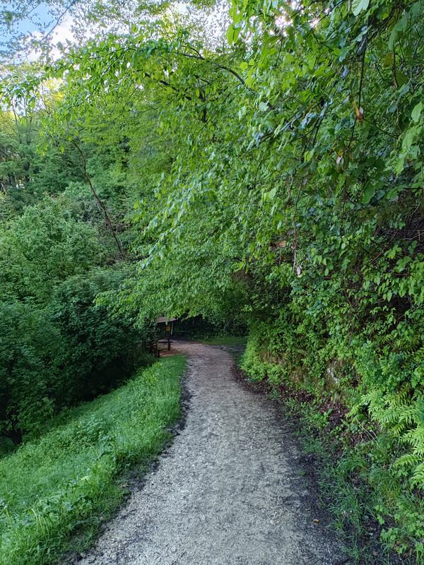 IMG 20240425 090347 — Postimages