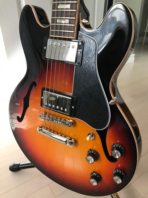 IMG 1529 — Postimages