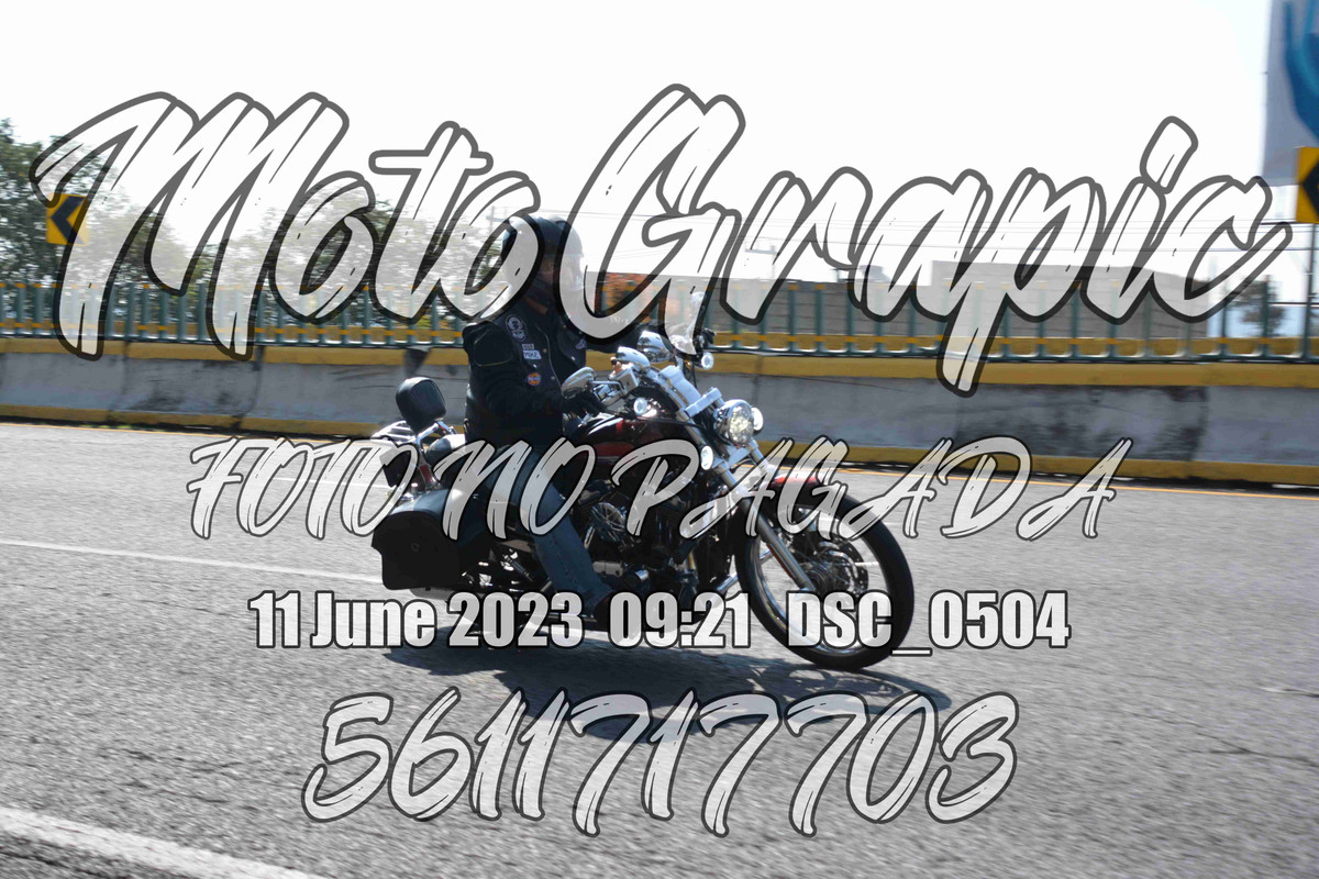 motgr DSC 0504 — Postimages