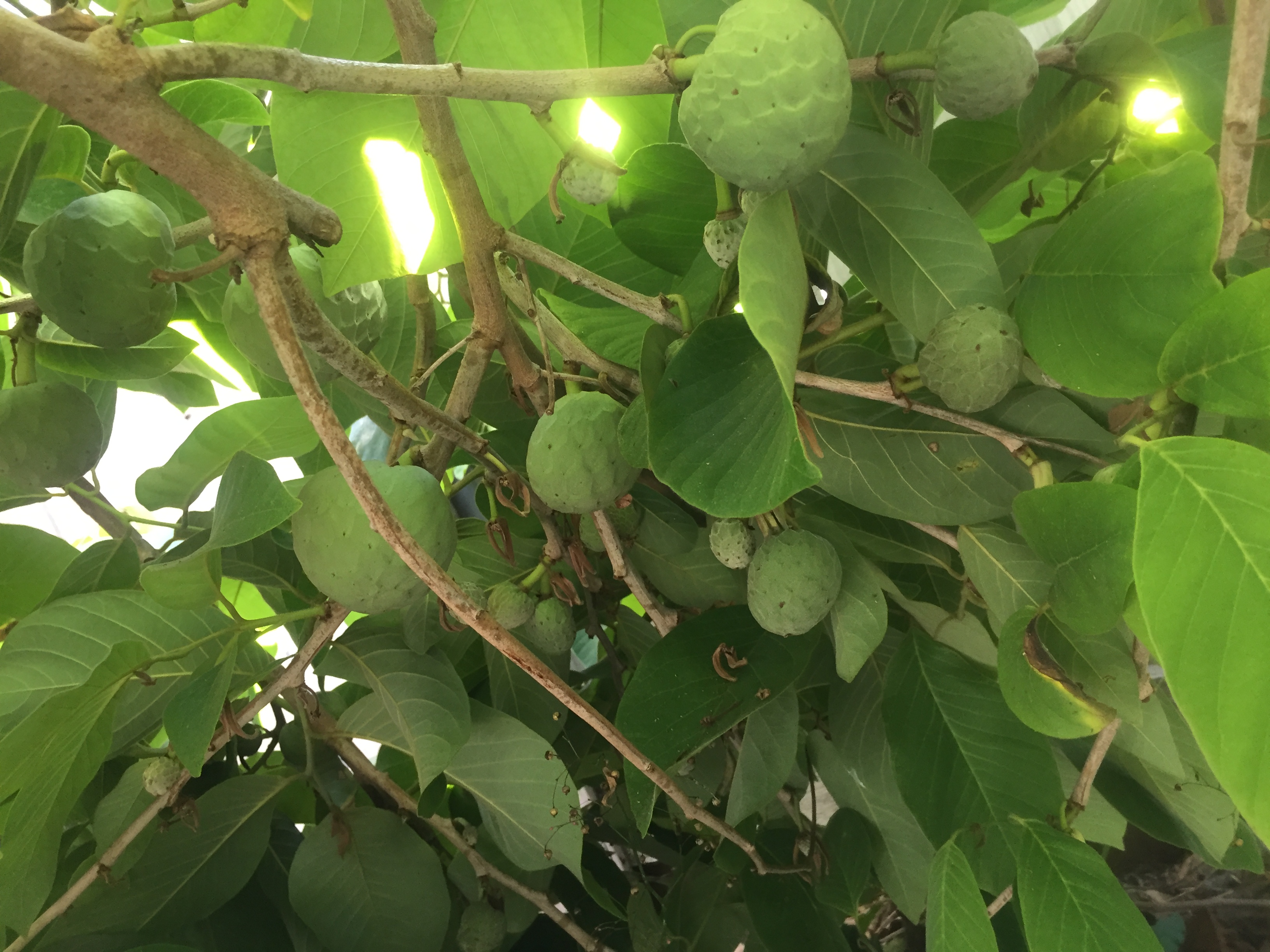 56 BE8590 07 F6 4 D6 C 8 A0 A 59689 D317 AF7 — Postimages