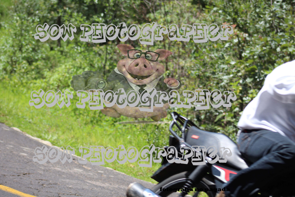 IMG 8937 — Postimages