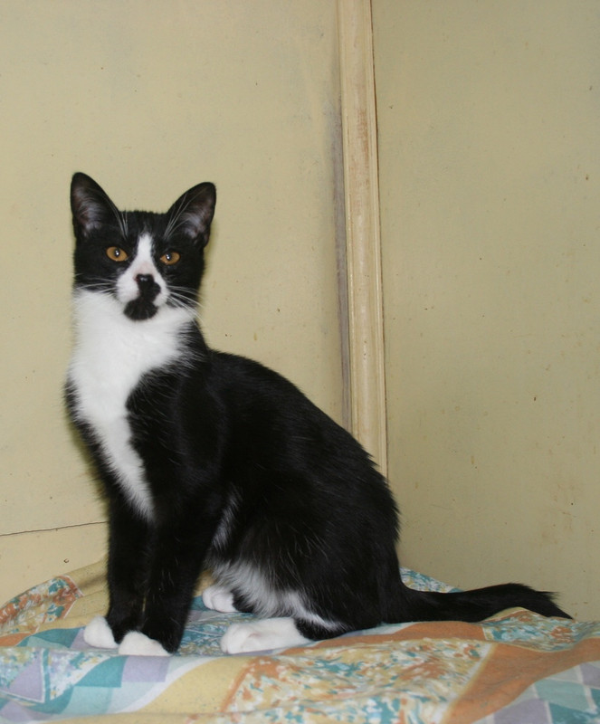 IMG 0490 — Postimages