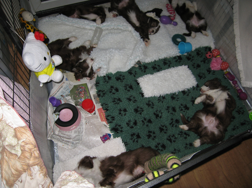 IMG 2344 — Postimages