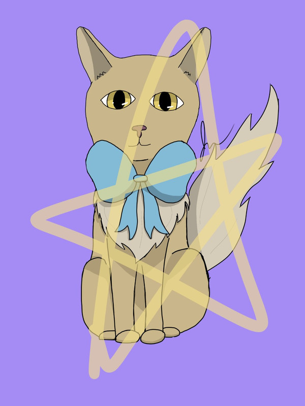 Kitty with bow preview — Postimages
