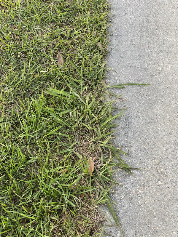 D9 C9 D429 6200 44 EF BBAB 67 A5 D7 E5 D83 F — Postimages