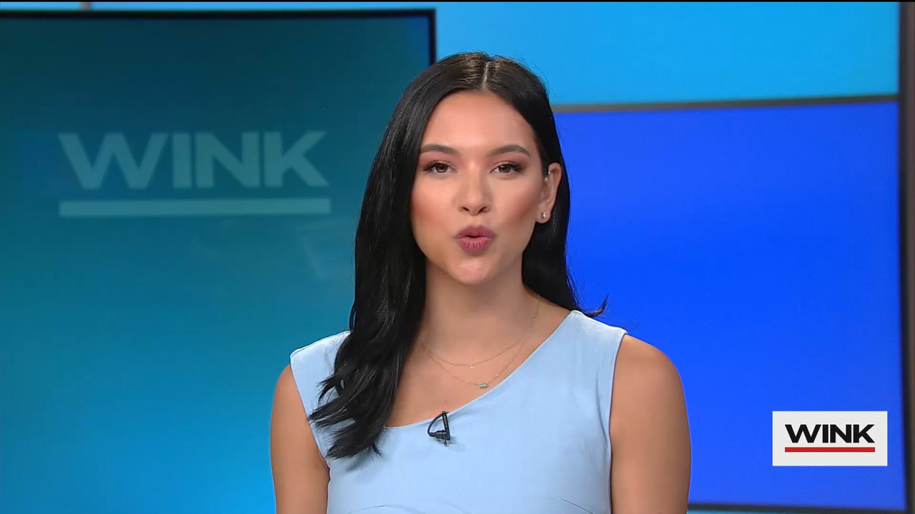 WINK News at 11 00 p m 2022 09 23 04 00 00 ts snapshot 12 29 754 — Postimages