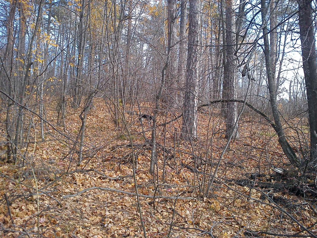 DSC00003 — Postimages