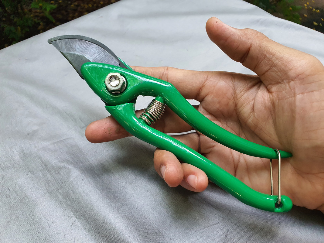 20221128 161738 — Postimages