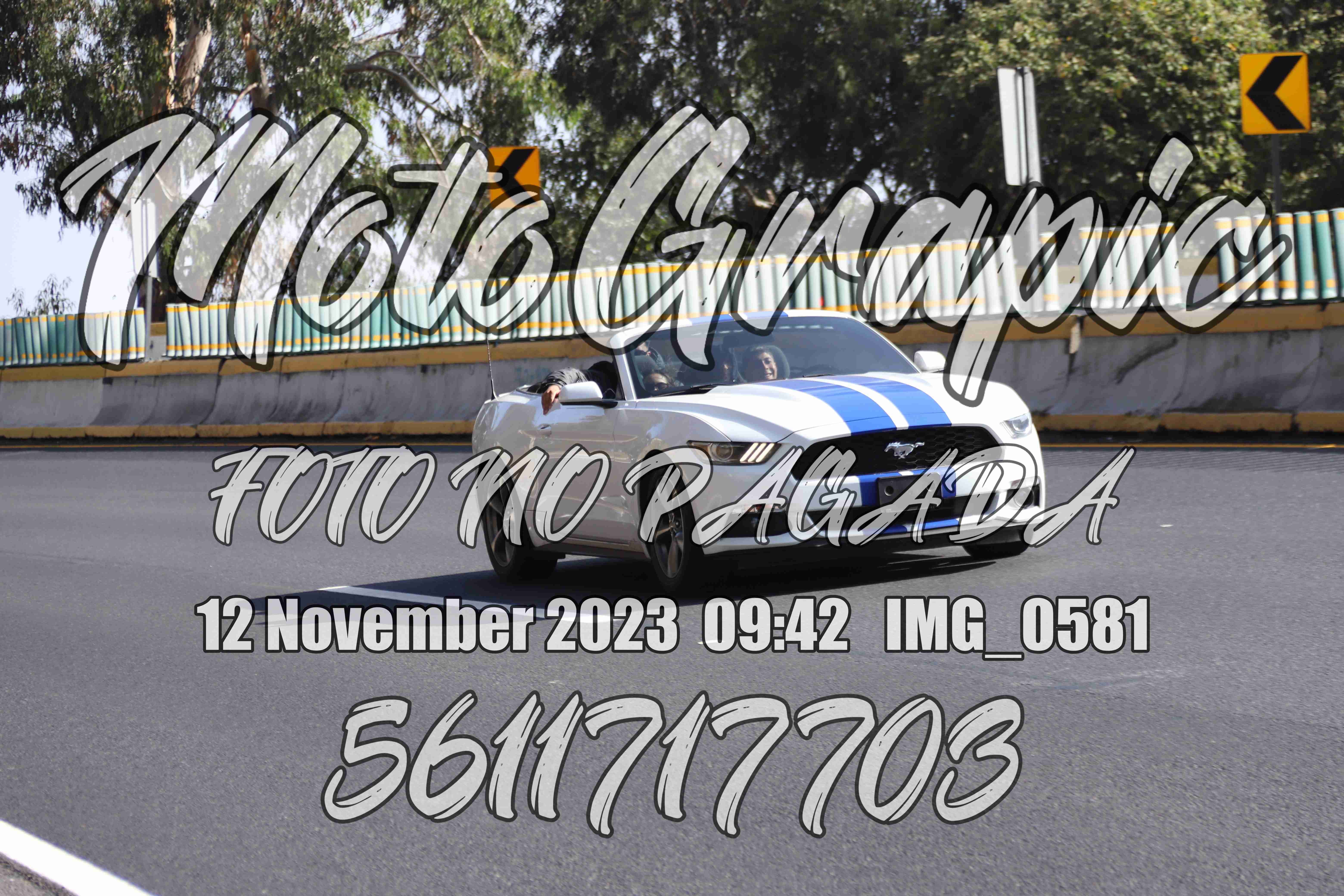 motgr IMG 0581 — Postimages