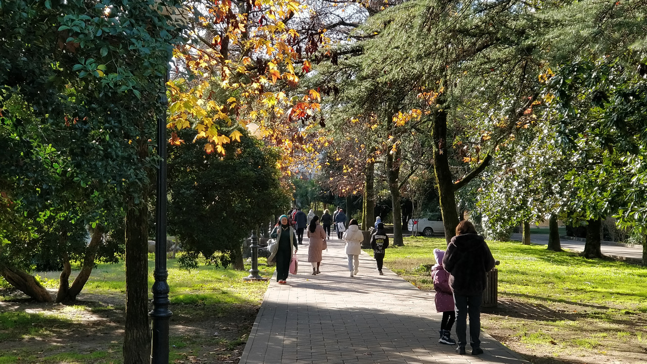 IMG 20250102 120448 — Postimages