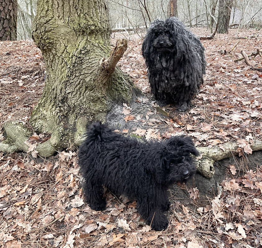 7 BA87 D0 D 57 CC 4 E00 AB81 2006 CEEFC904 — Postimages