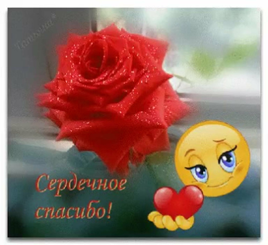 1655641918 34 kartinkof club p kartinki s nadpisyu spasibo i tebya s ...