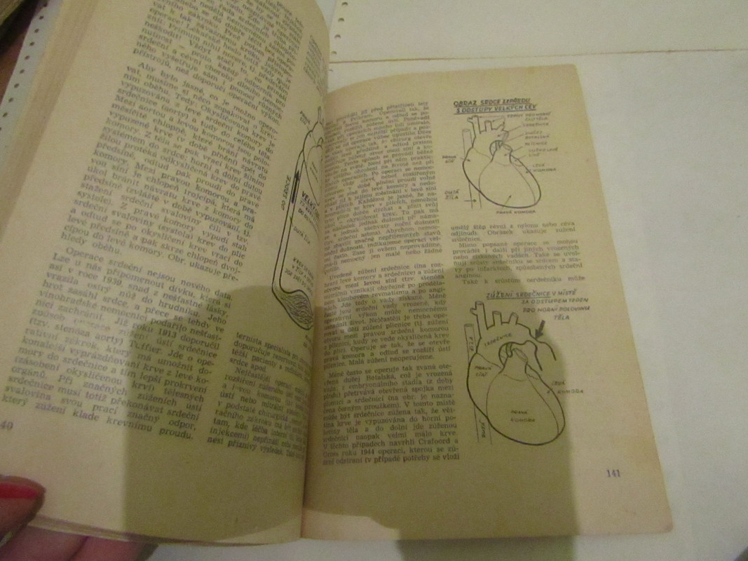 IMG 0799 — Postimages