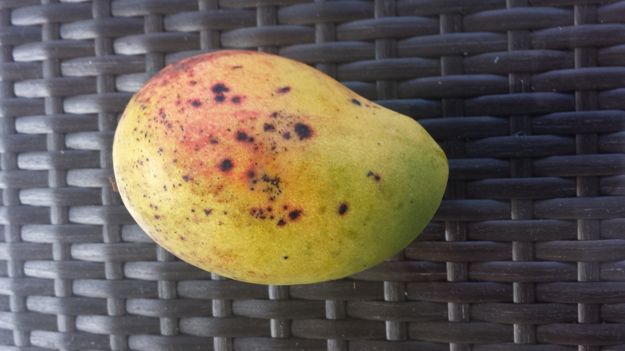 20160110 085919 — Postimages