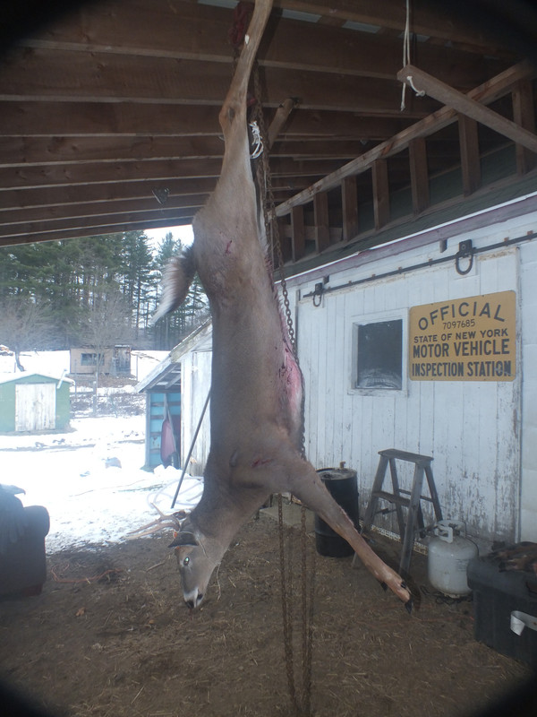 DSCF3049 — Postimages