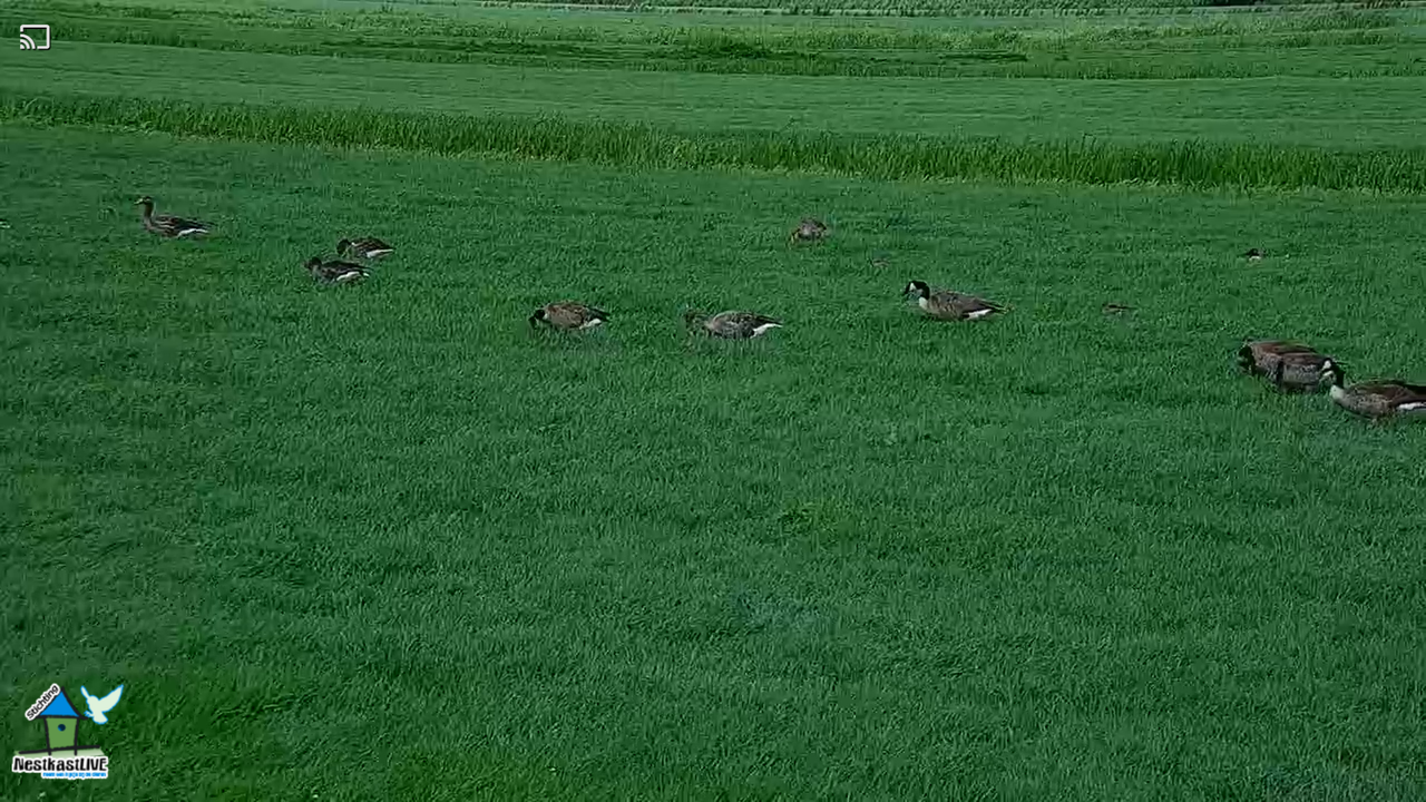 2023 07 30 (1) — Postimages