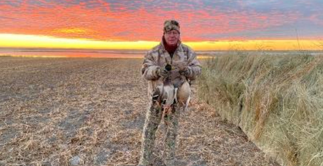 Screenshot 20221107 164405 Brave — Postimages