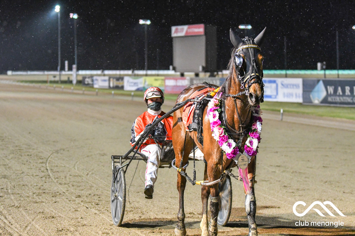 2022 Harness Breeders NSW Pink Diamond Stakes - Harnessbred