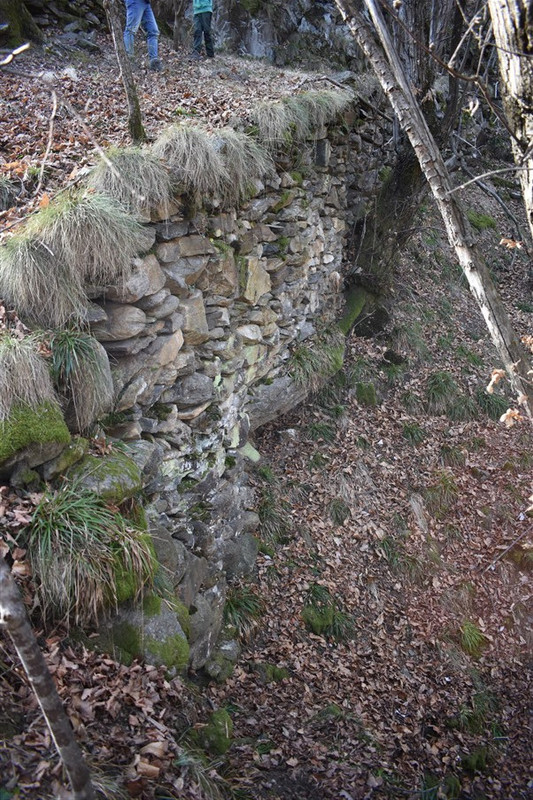 DSC 0564 — Postimages