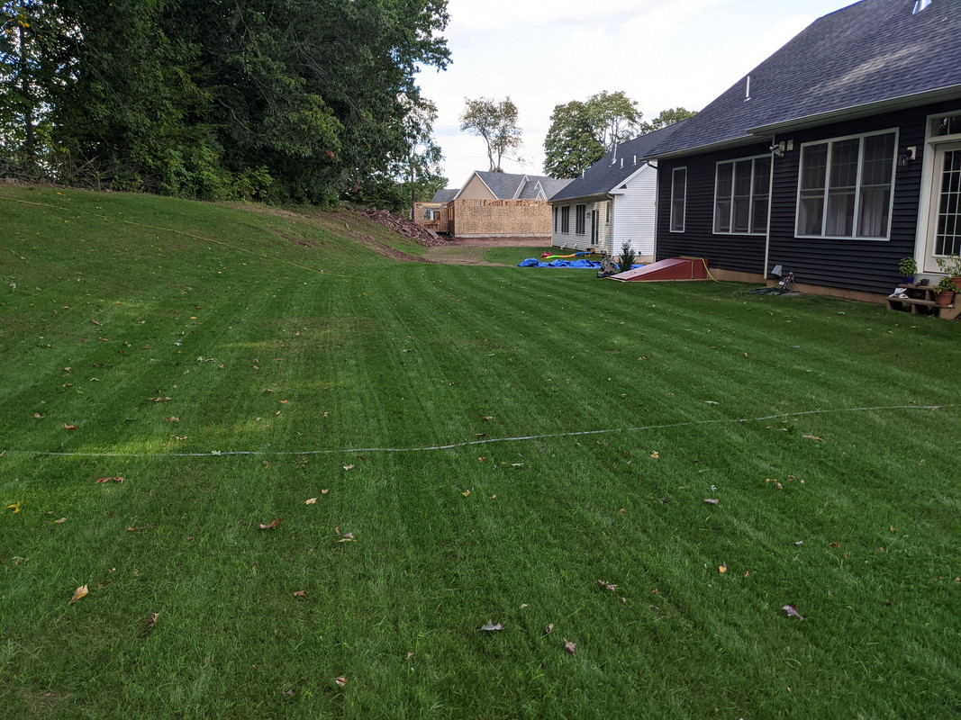 backyard — Postimages