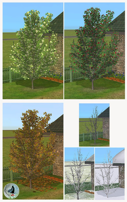 Gwenke Rowan upload mesh — Postimages