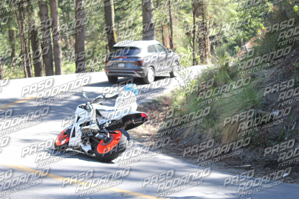 IMG 8032 wm 1105960 0999999996 watermarked — Postimages