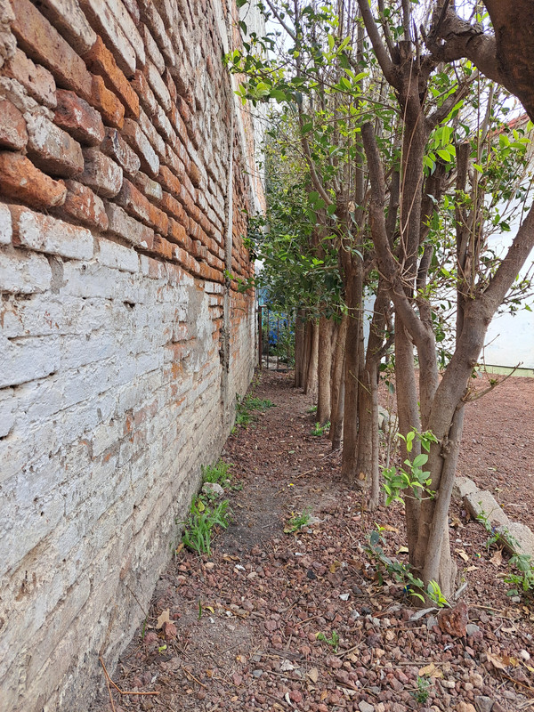 20231019 110855 — Postimages