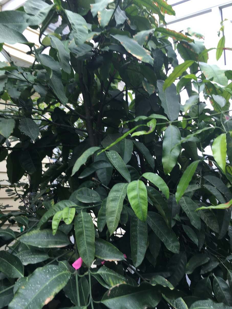 IMG 1220 — Postimages