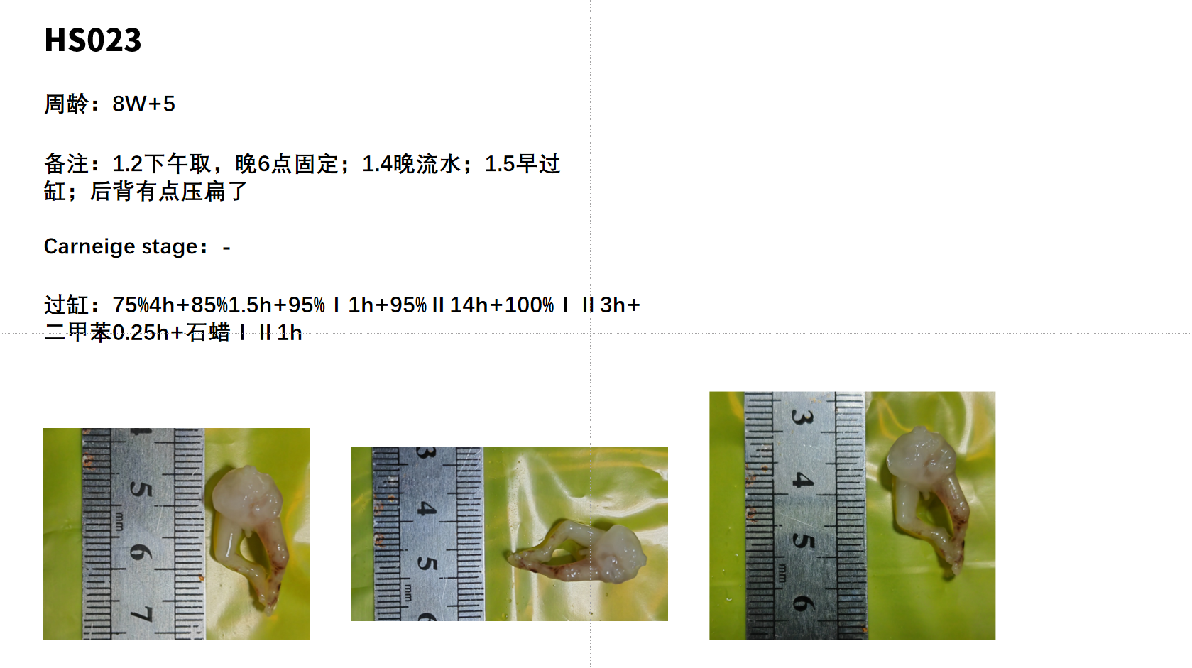 tmp6DCE — Postimages