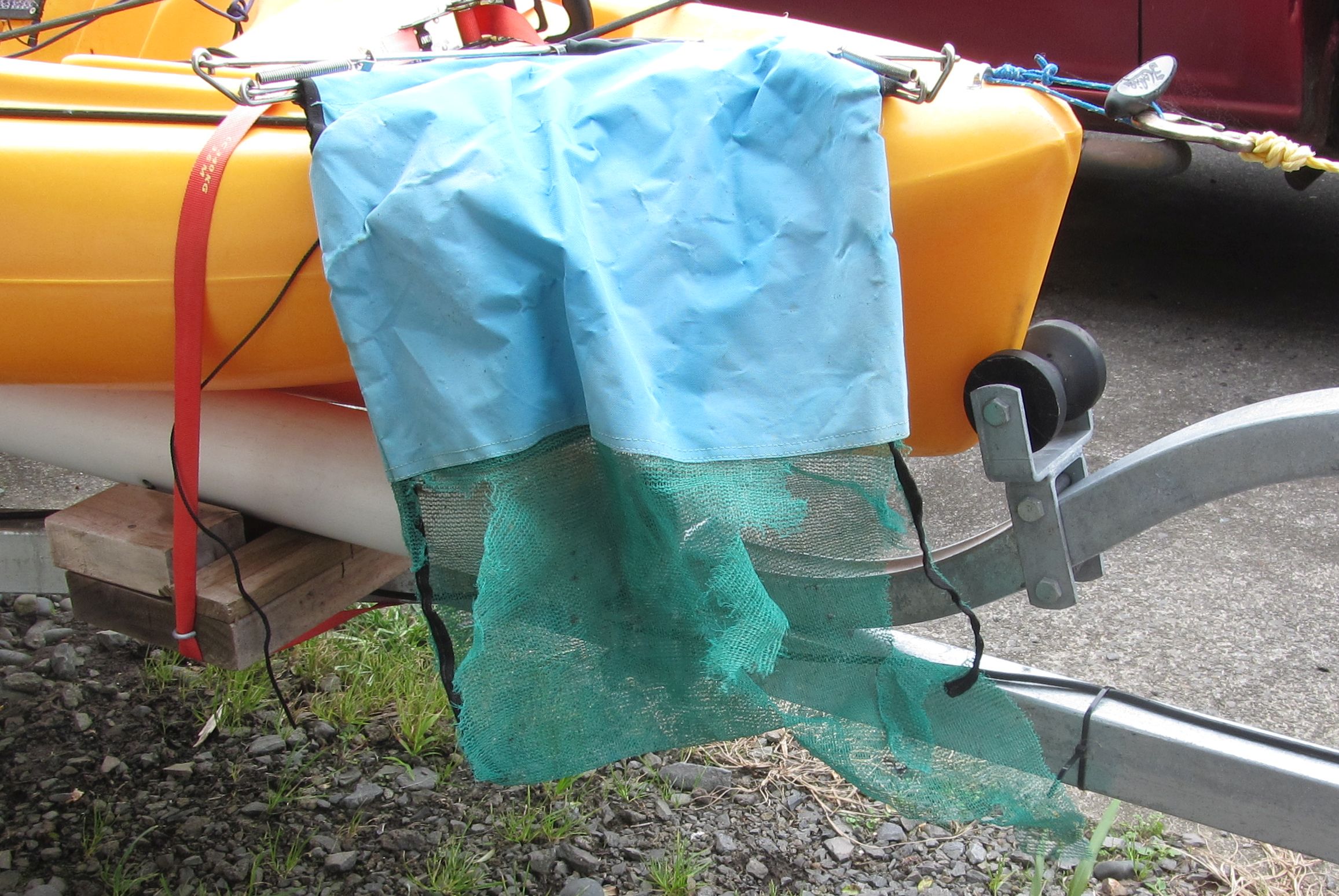 shark got my fish — Postimages