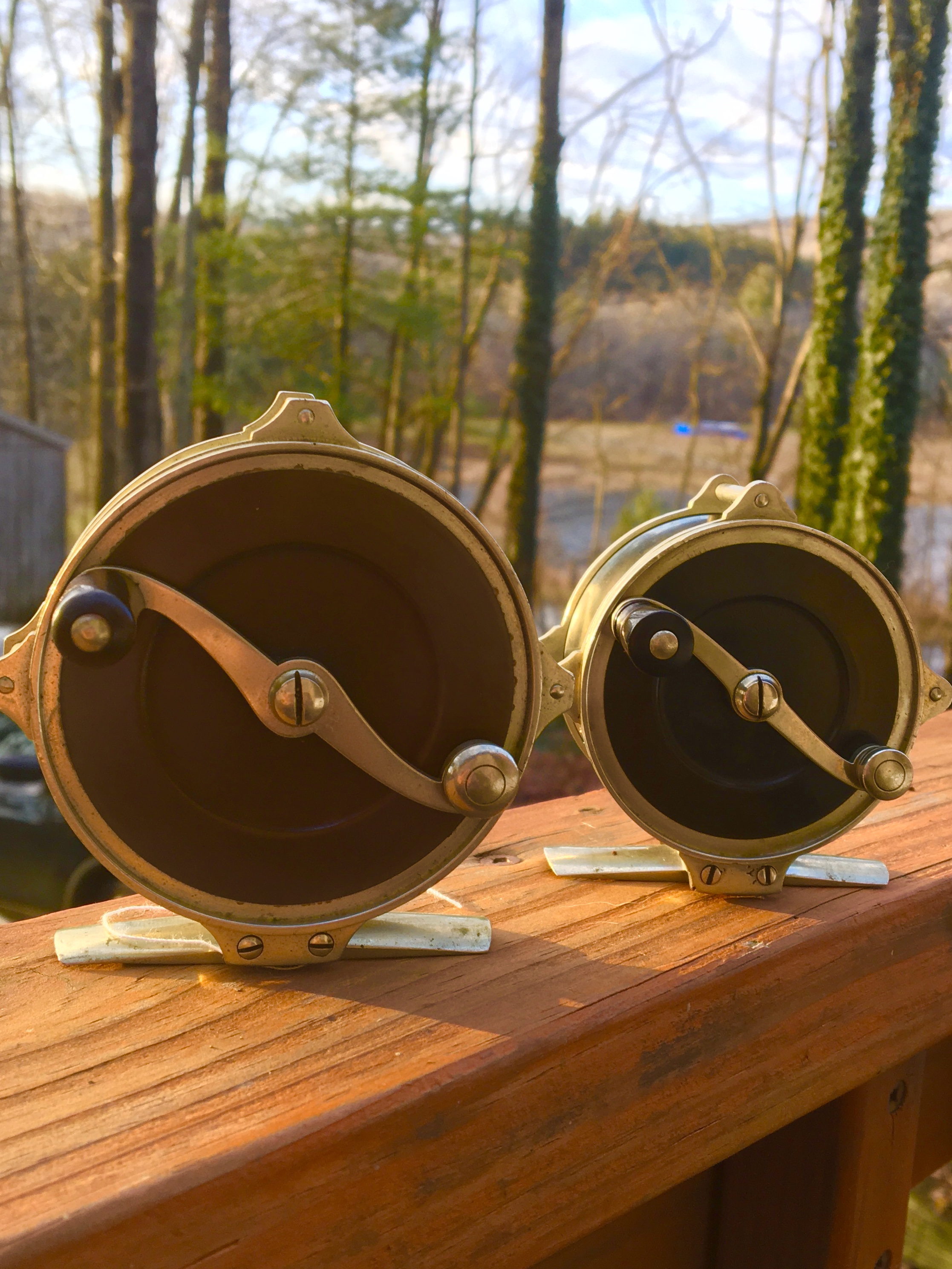 IMG 1013 photo full — Postimages