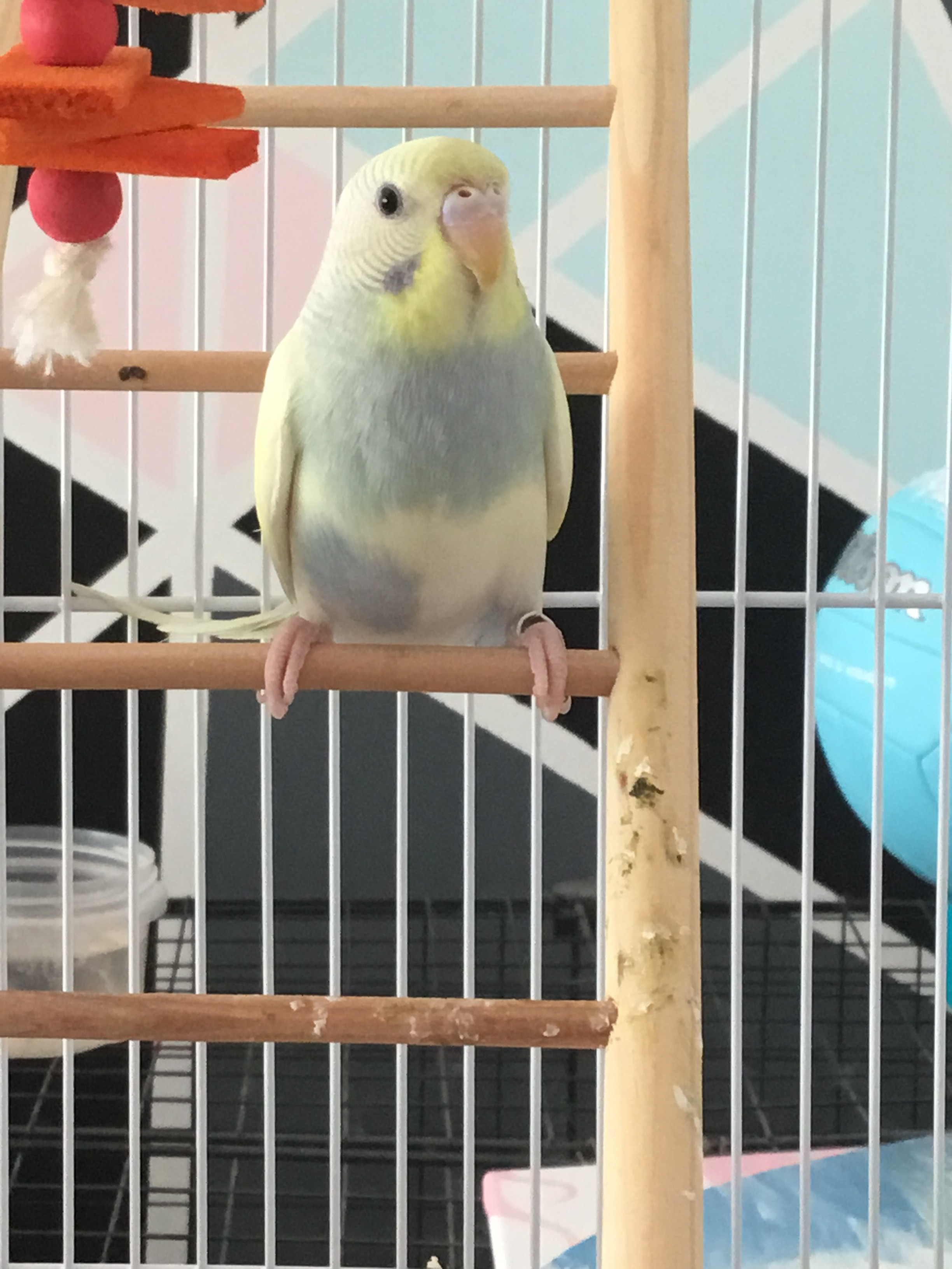 58 DF7 C11 A1 A2 45 AC 8062 A2 FFC4131 F6 E — Postimages