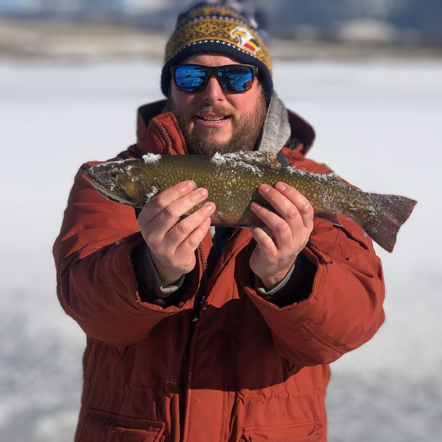 brooktrout 11 20 2022 — Postimages