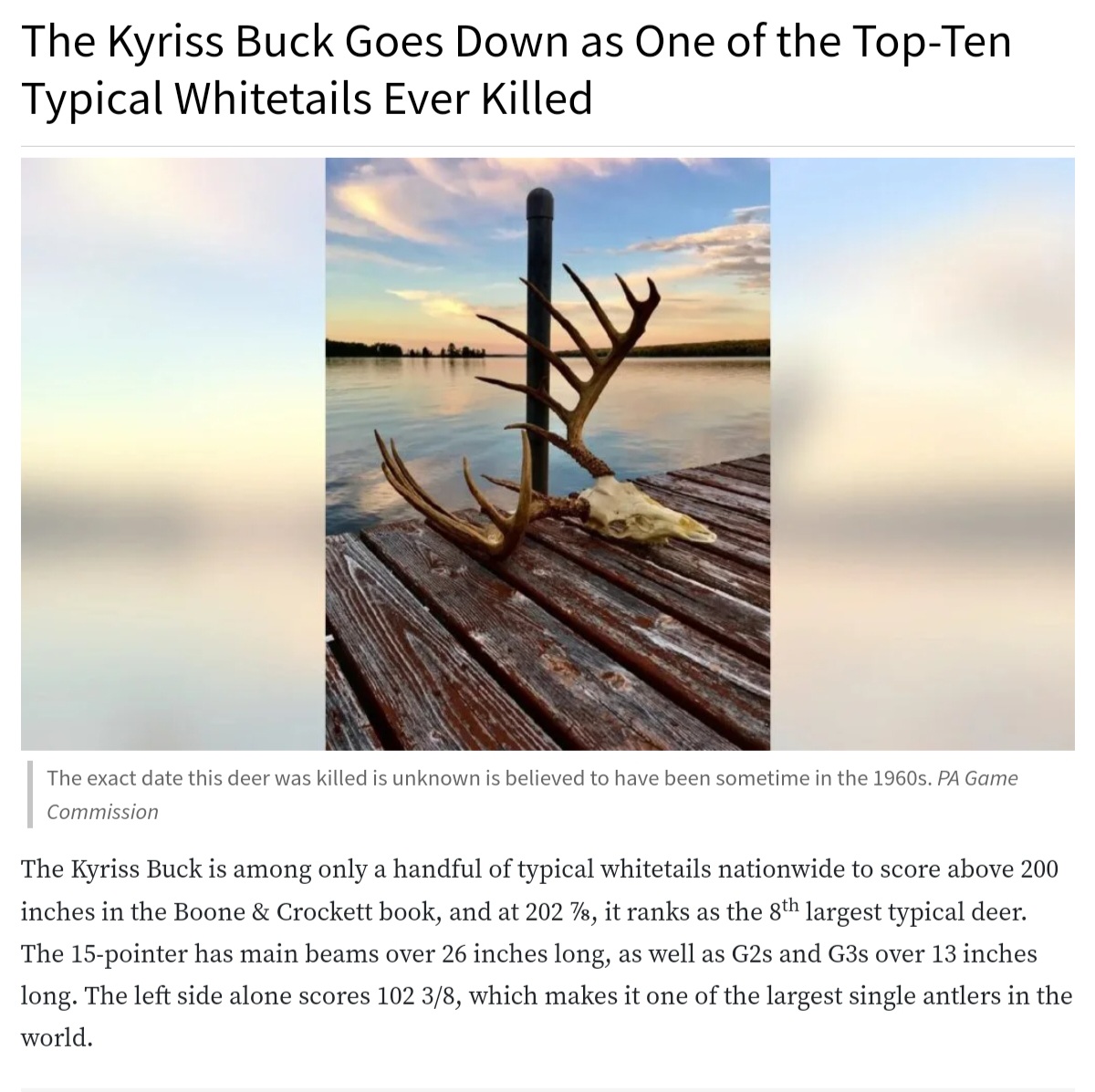 Screenshot 20231117 192652 Duck Duck Go — Postimages