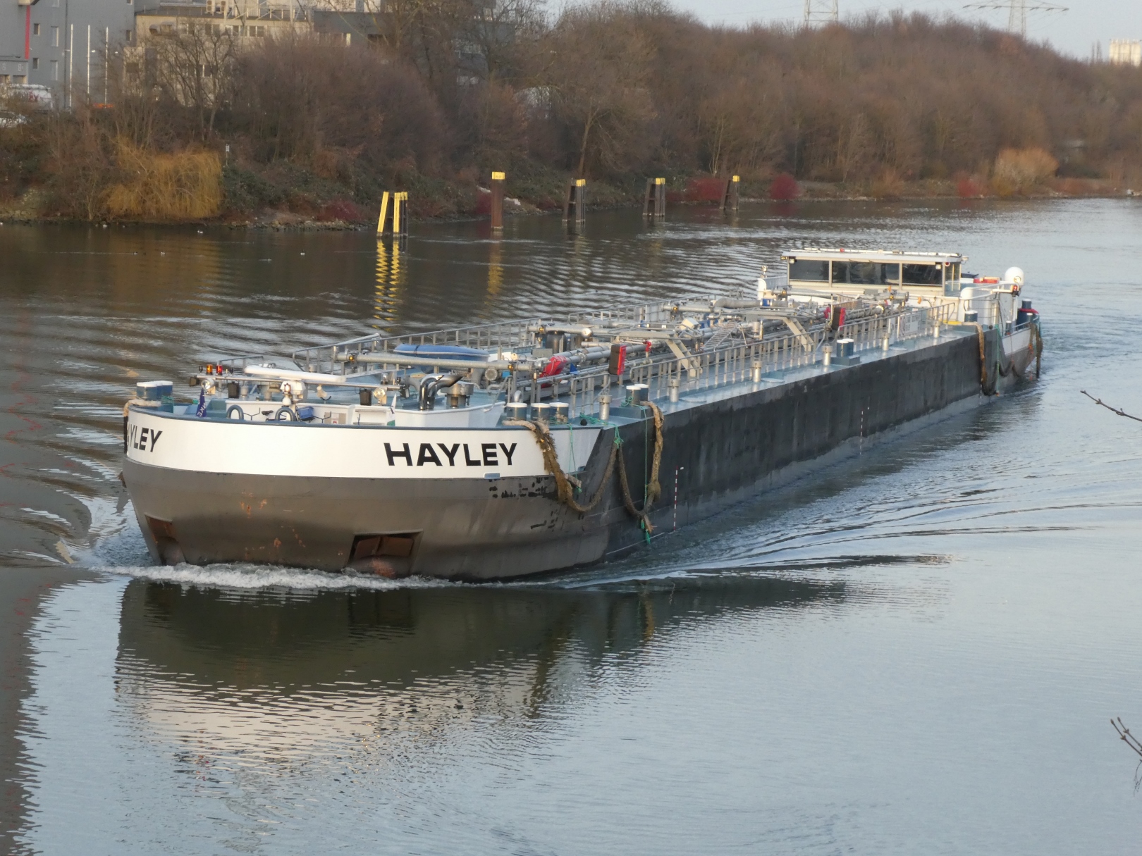 2021 02 20c Hayley — Postimages