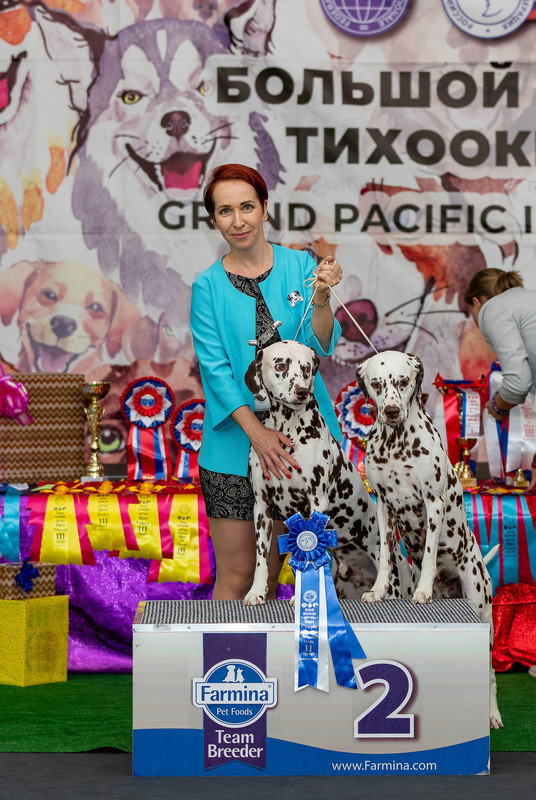 30 1355 — Postimages