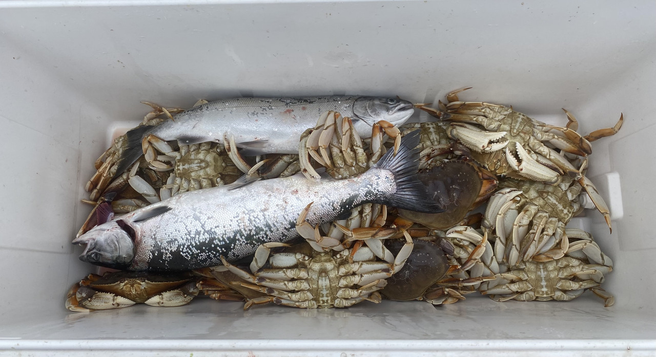 No beef price relief in sight. - 24hourcampfire