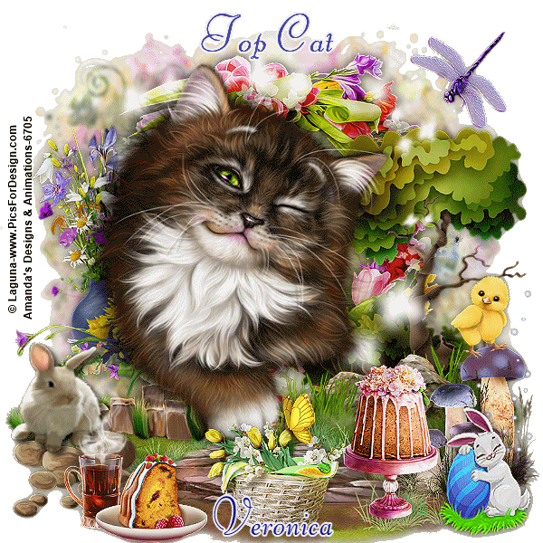 Top Cat — Postimages