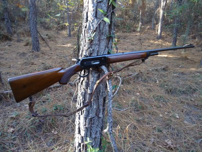 Bear Rifles? Let's see 'em! - 24hourcampfire