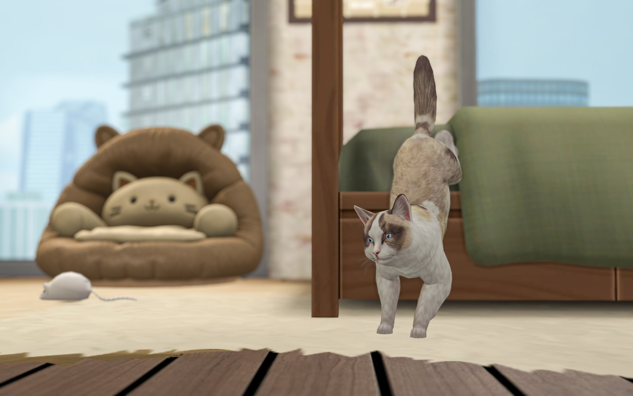 [PW] HD Cat Eye Mod - The Sims 4 Pets - CurseForge