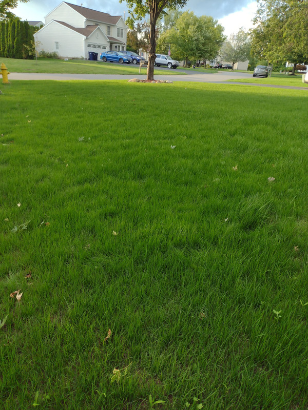 TooMuchTuna's TTTF | Lawn Care Forum