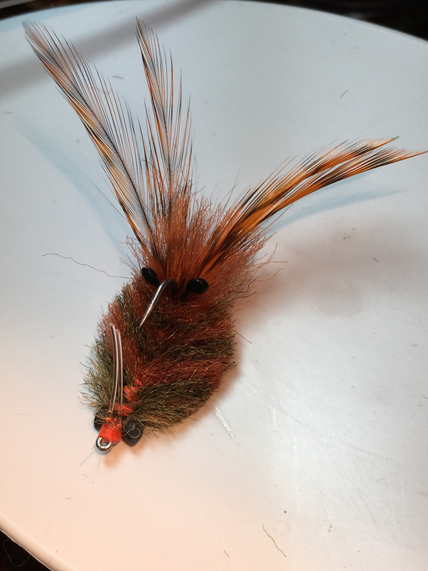 IMG 9252 — Postimages