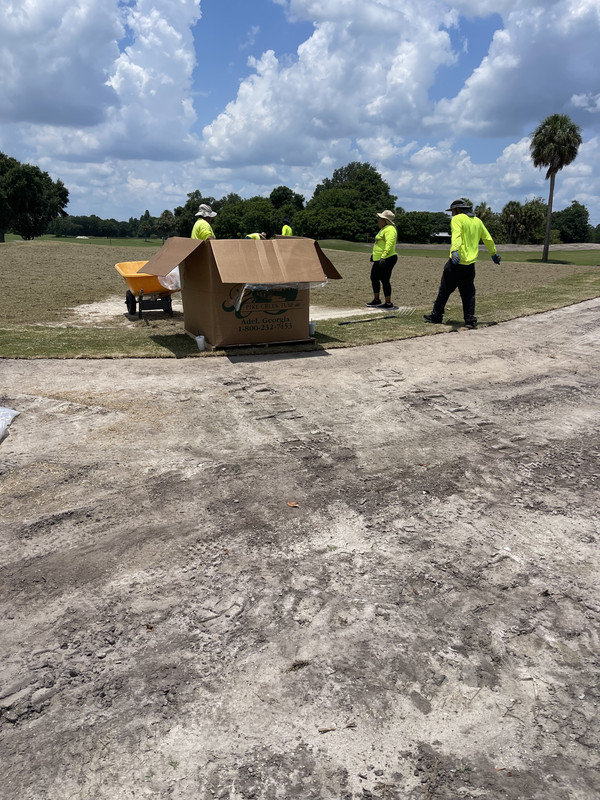 Sprigging putt greens - tif eagle | Lawn Care Forum