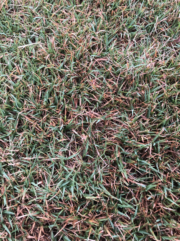 D7258 FA8 9 F11 4 B71 B4 B4 175602 D2925 C — Postimages