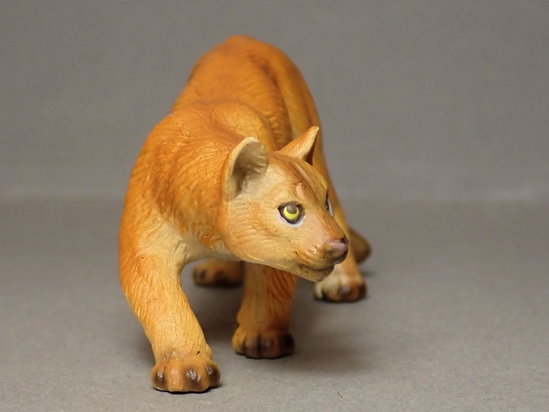 Pictures of Eikoh vol. 19 from October 2020 with many rarities :-)